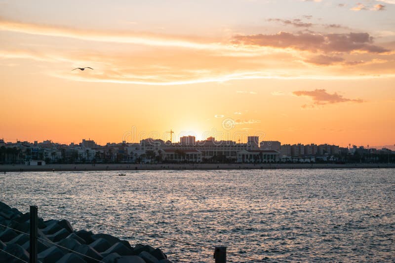 Evening Blue Sunset Sky Sea and Bird Stock Image - Image of horizon ...