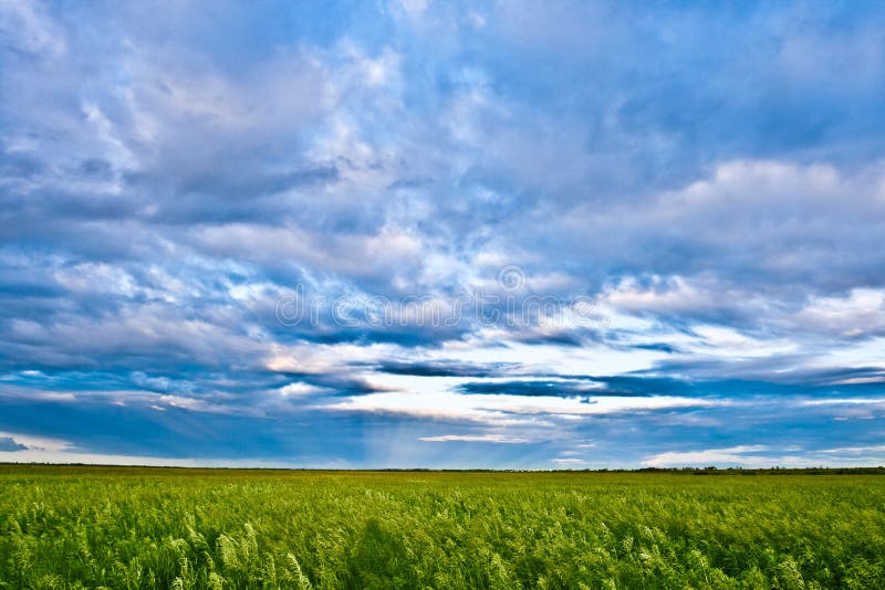 Evening clouds on filed stock photo. Image of beautiful - 11241294