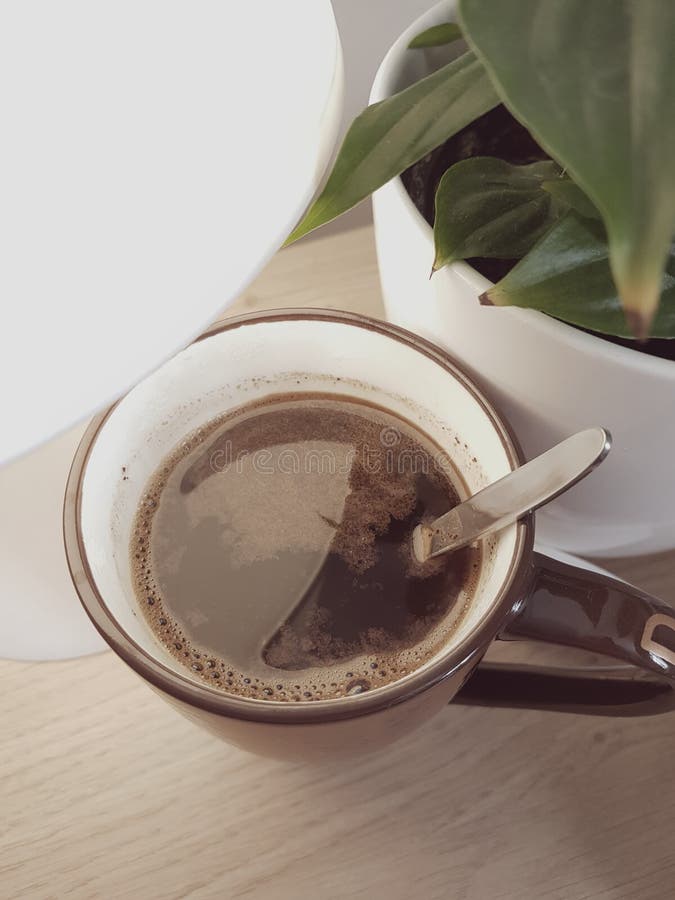 Evening coffee stock photo. Image of life, diary, black - 30326366