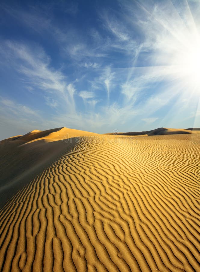 Desert stock photo. Image of landscaped, footprint, arid - 7723704
