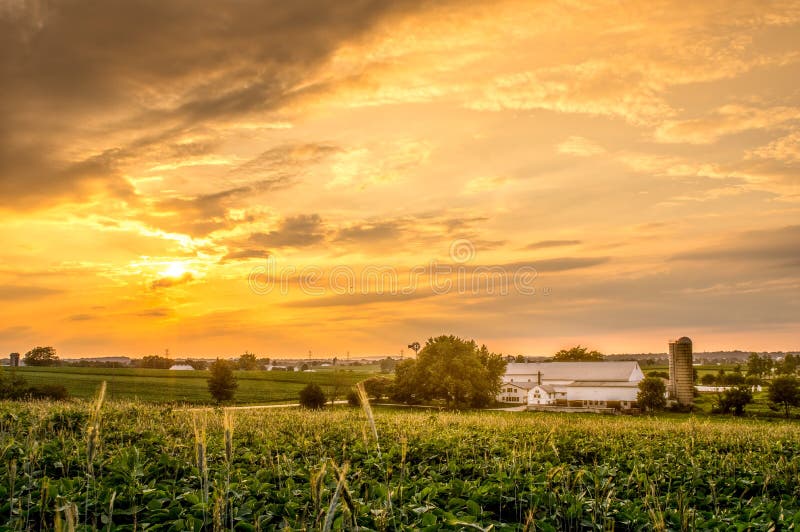 Evening on the farm stock photo. Image of fields, sunset - 97090198