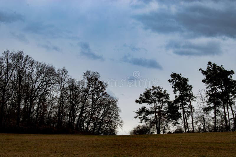 246,227 Evening Field Stock Photos - Free & Royalty-Free Stock Photos ...