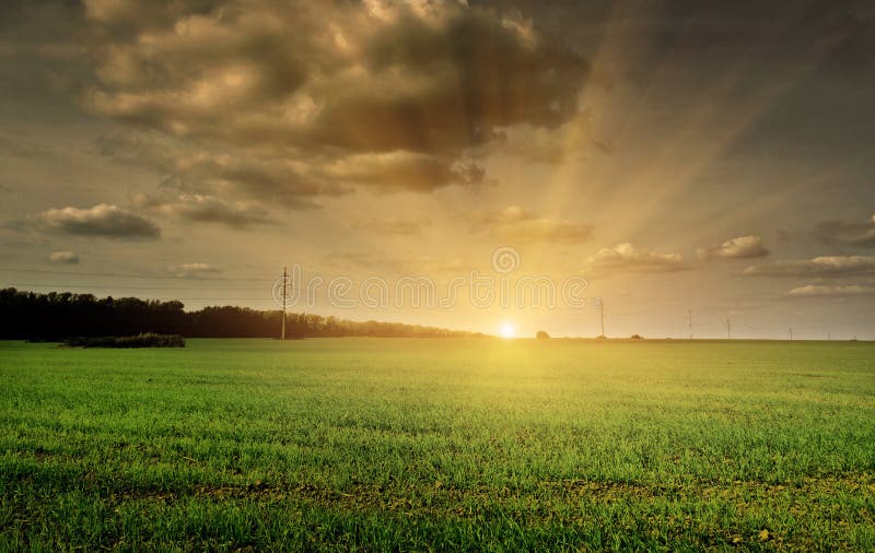 Evening field stock image. Image of cloudy, skyline, scenic - 34282287