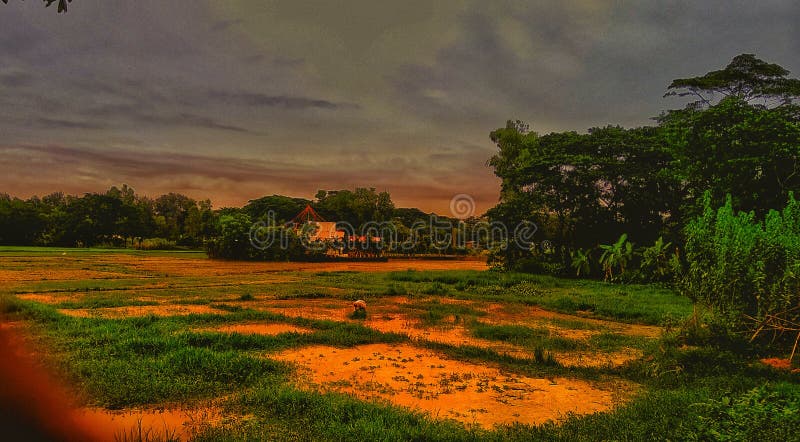 Evening field looking nice stock image. Image of evening - 163293085