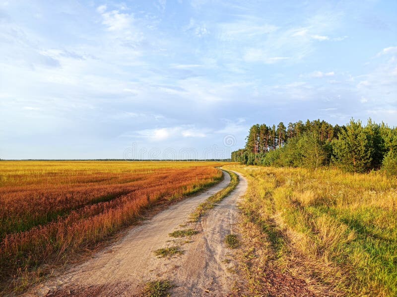 Evening fields of Russia stock image. Image of field - 254464079