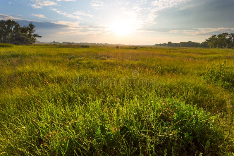Evening fields scene stock photo. Image of infinity, meadow - 55866528