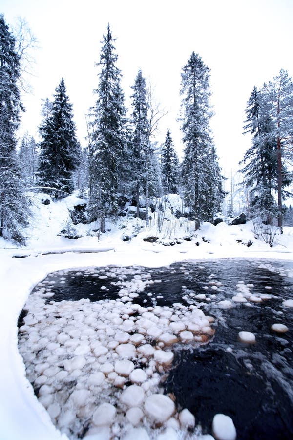 Evening in Forest Lake with Water Stream Stock Image - Image of glen ...