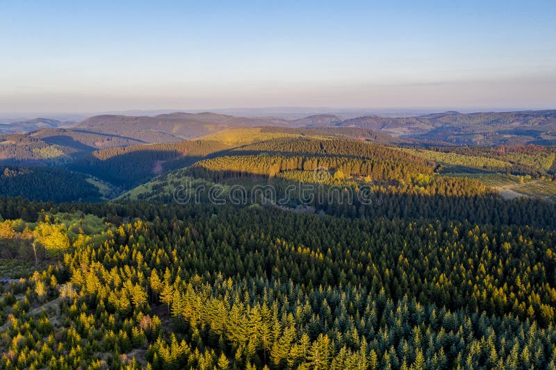 Evening Forest Landscape from Above Stock Image - Image of rural ...