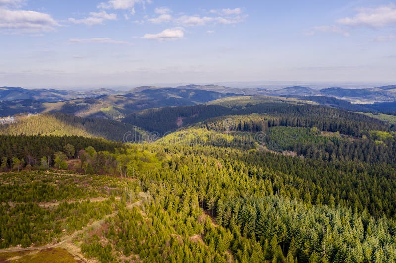 Evening Forest Landscape from Above Stock Image - Image of panorama ...