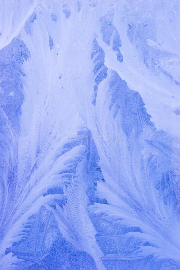 3,800+ Frost pattern Free Stock Photos - StockFreeImages