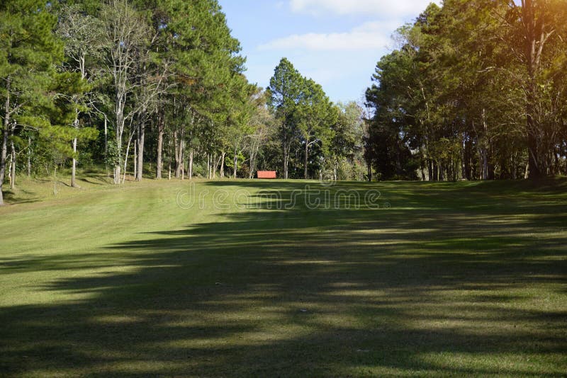 The Evening Golf Course Has Sunlight Shining Down at Golf Course in ...