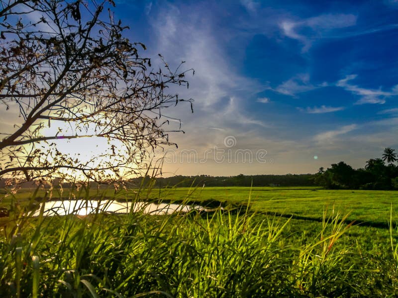 Sunset stock image. Image of sunset, drama, evening - 127365339