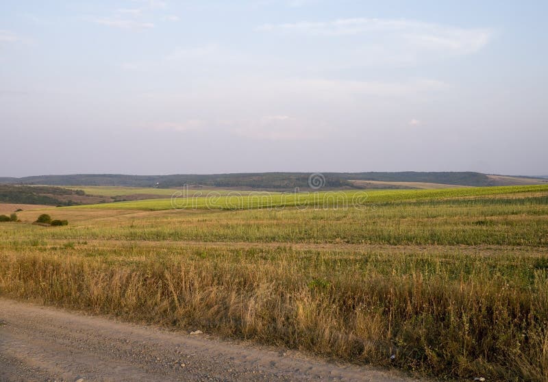 Evening Haze at the Rural Field in Evening Light Stock Image - Image of ...