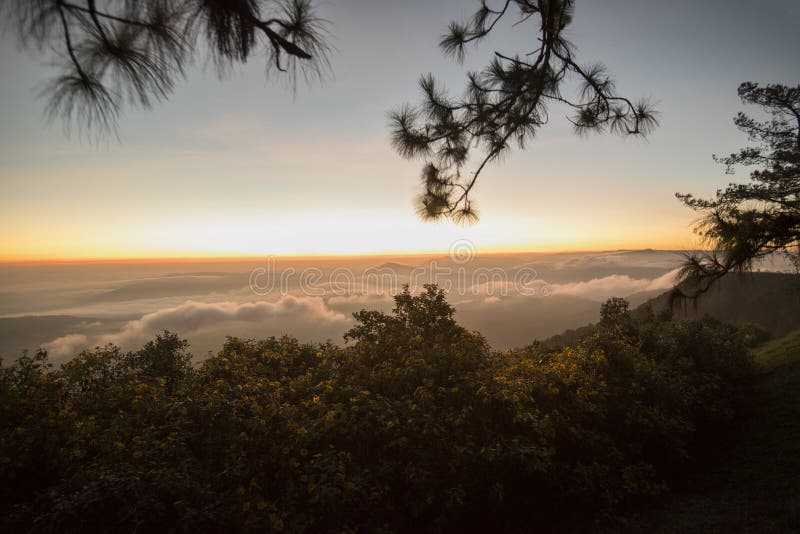 Evening Horizon Sunrise stock image. Image of bright - 106608643