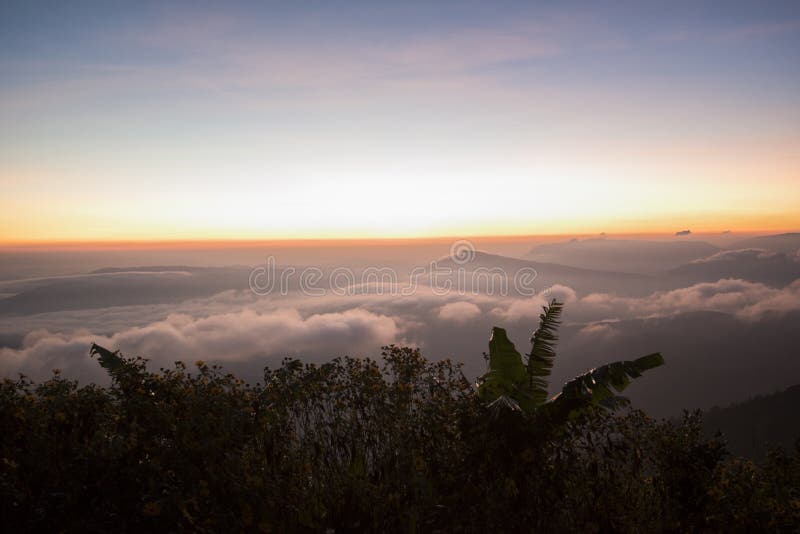 Evening Horizon Sunrise stock photo. Image of scenic - 106608742