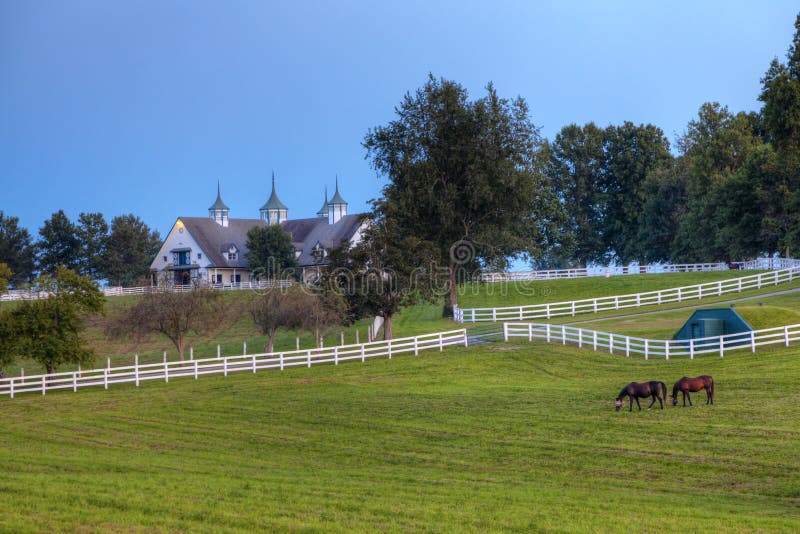 Evening at a horse farm stock photo. Image of fences - 23893094