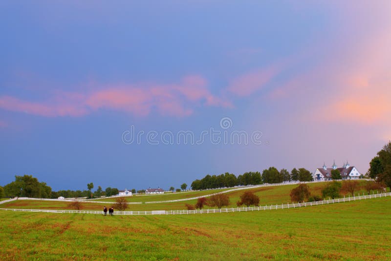 Horse Farm stock image. Image of night, hills, evening - 24223701