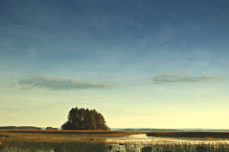 Marsh at dusk stock image. Image of south, bird, marsh - 485265