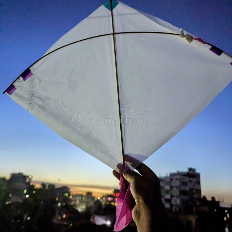 The evening kite runner! stock photo. Image of kite - 289667068