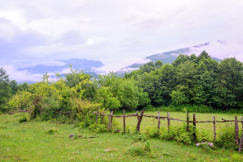 Evening at the Kodori Gorge, Abkhazia Stock Image - Image of gorge ...