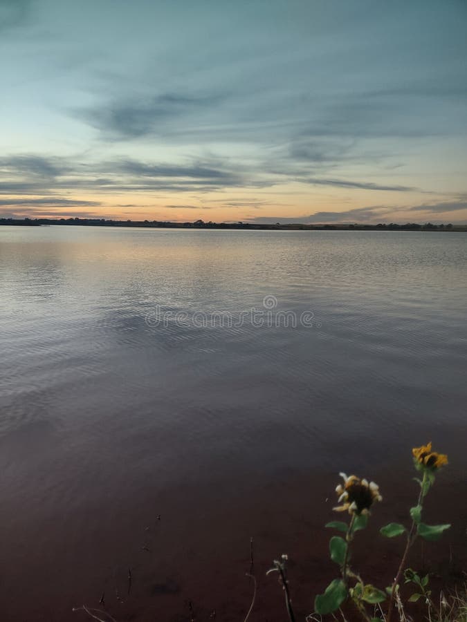 Evening at the lake stock image. Image of yellow, blue - 252819423