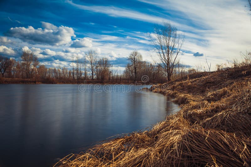 Evening on the Lake with Reeds Stock Photo - Image of bright, river ...