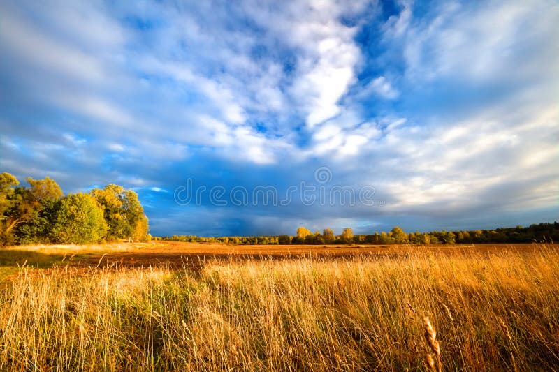 Evening landscape stock photo. Image of abstract, road - 14320606