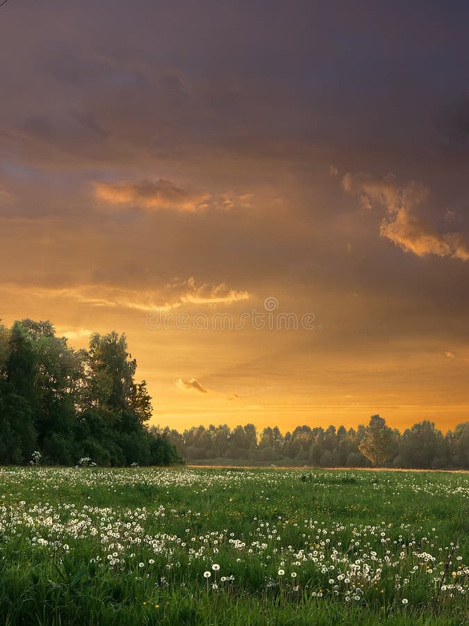 Evening Landscape stock image. Image of rural, light - 15098117