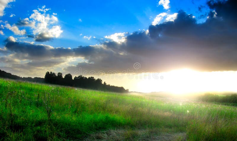 Evening landscape stock image. Image of forest, grass - 15929271