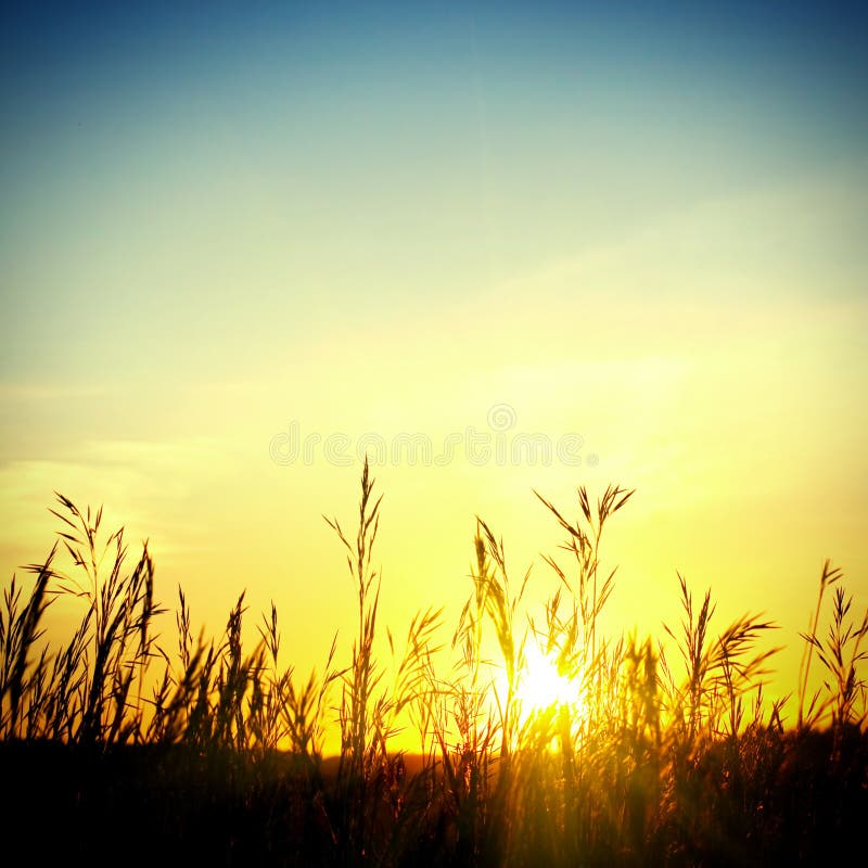 Evening Landscape stock image. Image of retro, rays, twilight - 38224141