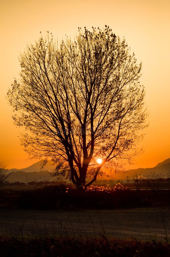 Evening landscape stock image. Image of grey, space, dramatic - 49057583