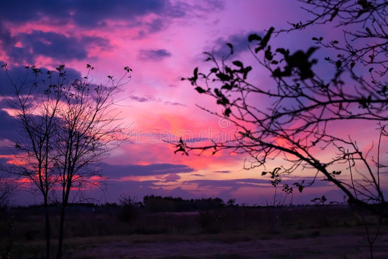 Evening Landscape. Beautiful Dark Sky with Colored Backlit Clouds Over ...