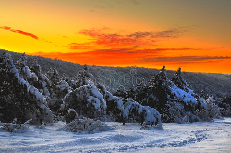 Evening Landscape HDR stock photo. Image of dawn, environment - 40887906