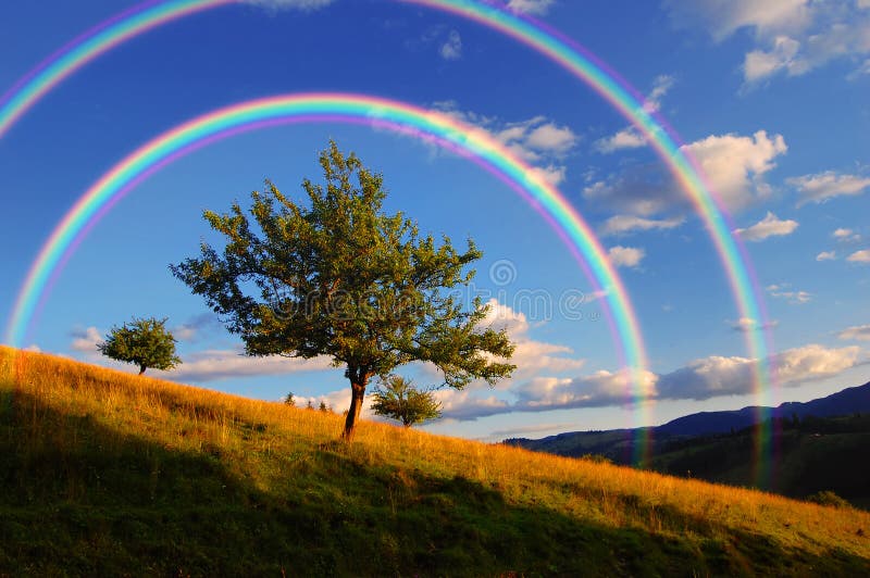 Rainbow over tree stock image. Image of countryside, bright - 29980573