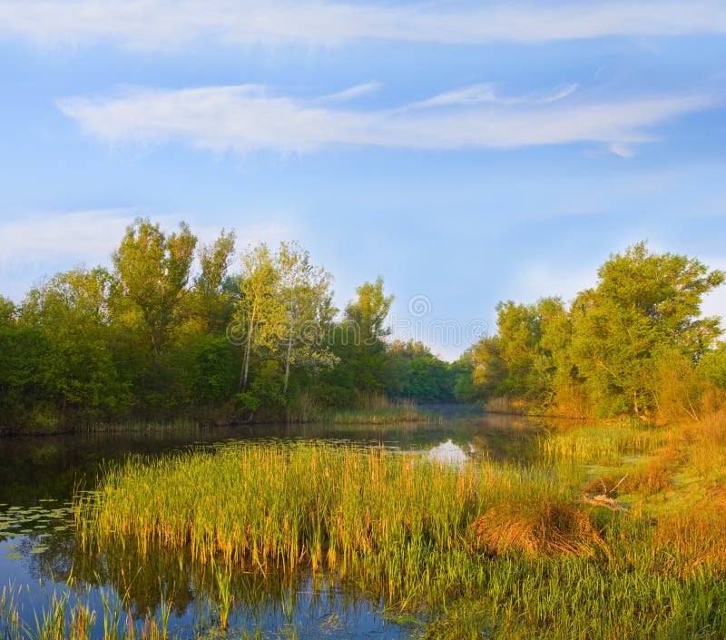 Evening landscape on river stock photo. Image of serene - 10522554