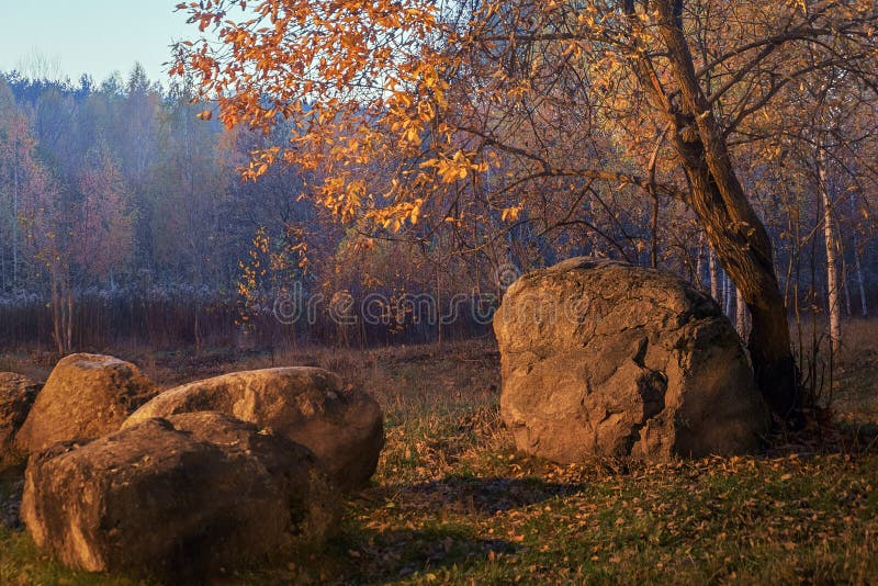 Evening Landscape with Rocks Stock Image - Image of yellow, forest ...