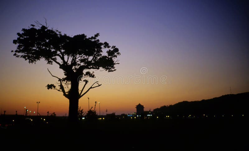 Evening landscape and tree stock image. Image of light - 17573267