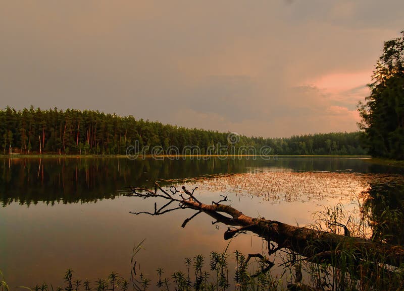 An Evening is in Latvia 2016 Stock Image - Image of latgale, landscape ...