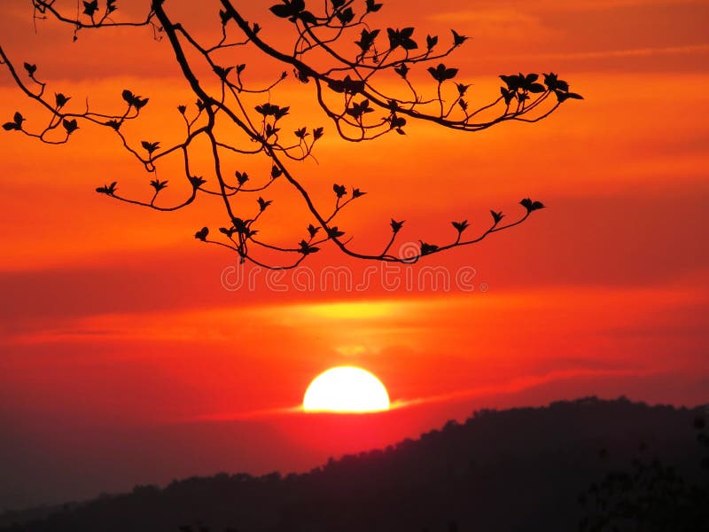 Evening Light stock photo. Image of evening, silhouette - 61530414