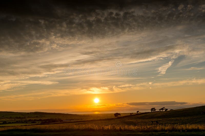 Evening light stock photo. Image of farmland, england - 62203142
