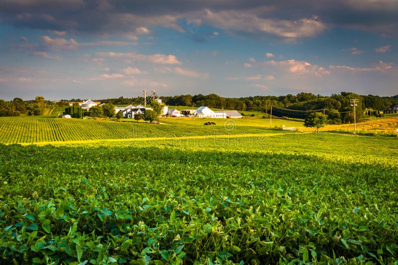 Evening Light on Farm Fields in Howard County, Maryland. Stock Photo ...