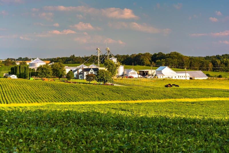 Evening Light on Farm Fields in Howard County, Maryland. Stock Image ...