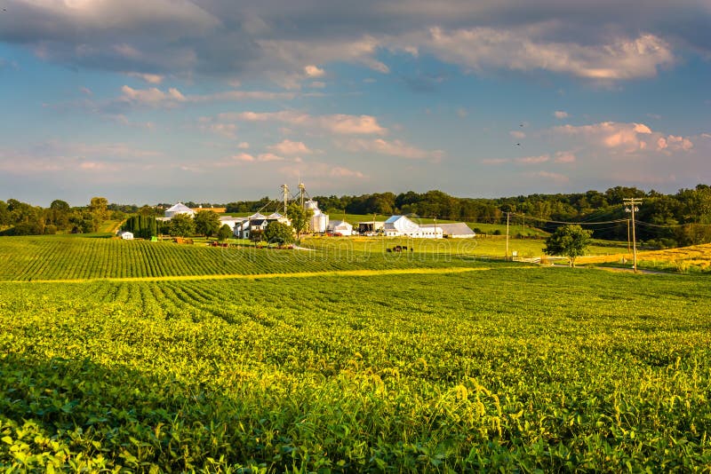 Evening Light on Farm Fields in Howard County, Maryland. Stock Photo ...