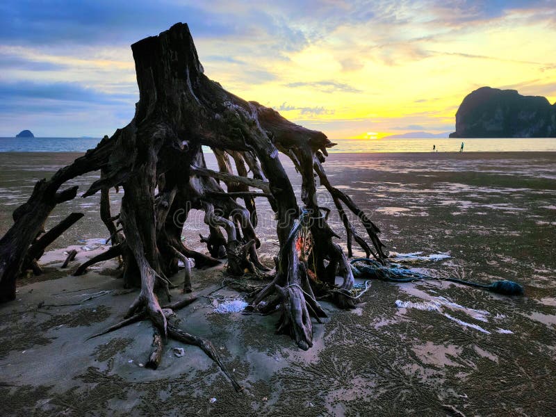 Evening at Pak Meng Beach, Trang Province, Thailand Stock Photo - Image ...