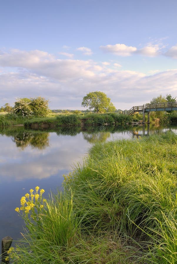 Evening Light River Stour, Eyebridge Stock Photo - Image of vertical ...