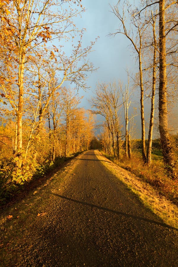 Evening Light with Shadows Across the Snoqualmie Valley Trail in Late ...