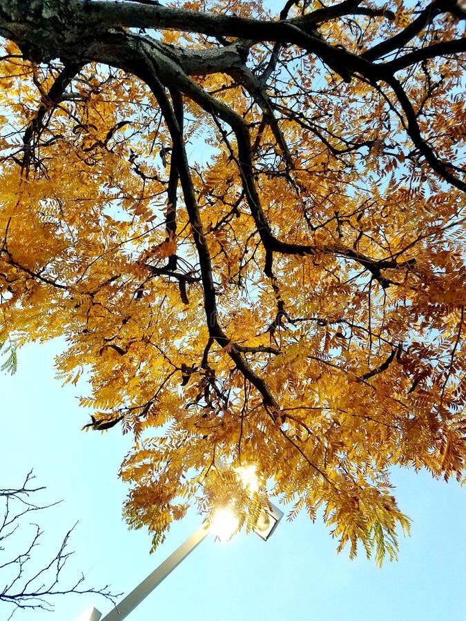 Evening light stock photo. Image of light, street, blue - 80471210