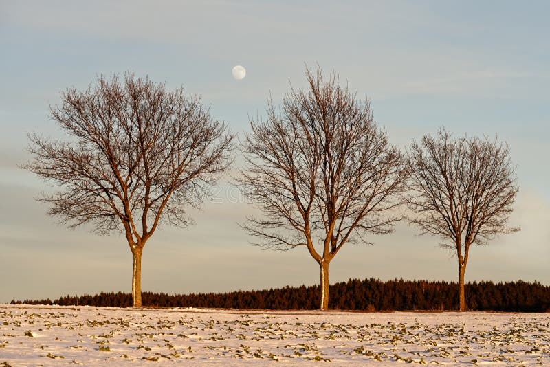 Winter Landscape with Water Movement and Full Color Morning Light Stock ...