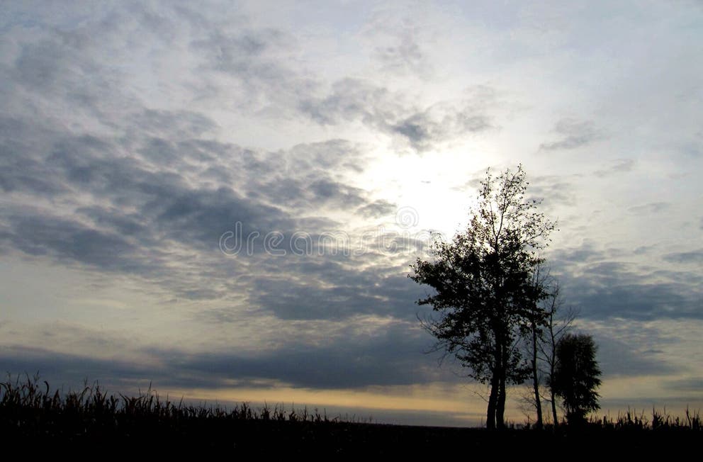 Evening meadows stock photo. Image of sunrise, dusk - 254134646