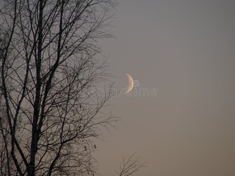 Evening and month stock image. Image of sunrise, journey - 74212247